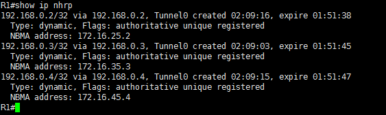 Dynamic Multipoint VPN (DMVPN) : 네이버 블로그