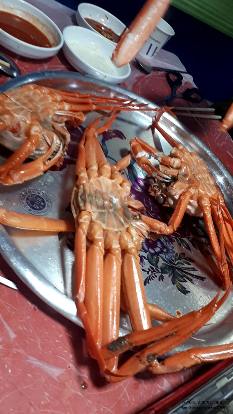 포항 홍게 무한 리필 오천읍 맛 집 울진 왕돌초 네이버 블로그