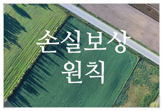 토지보상 손실보상의 원칙 네이버 블로그
