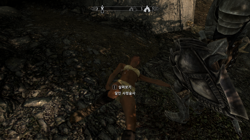 [스카이림 공략]번갯불 협곡(Sunderstone Gorge) - 루닐의 잃어버린 일기 찾기 : 네이버 블로그