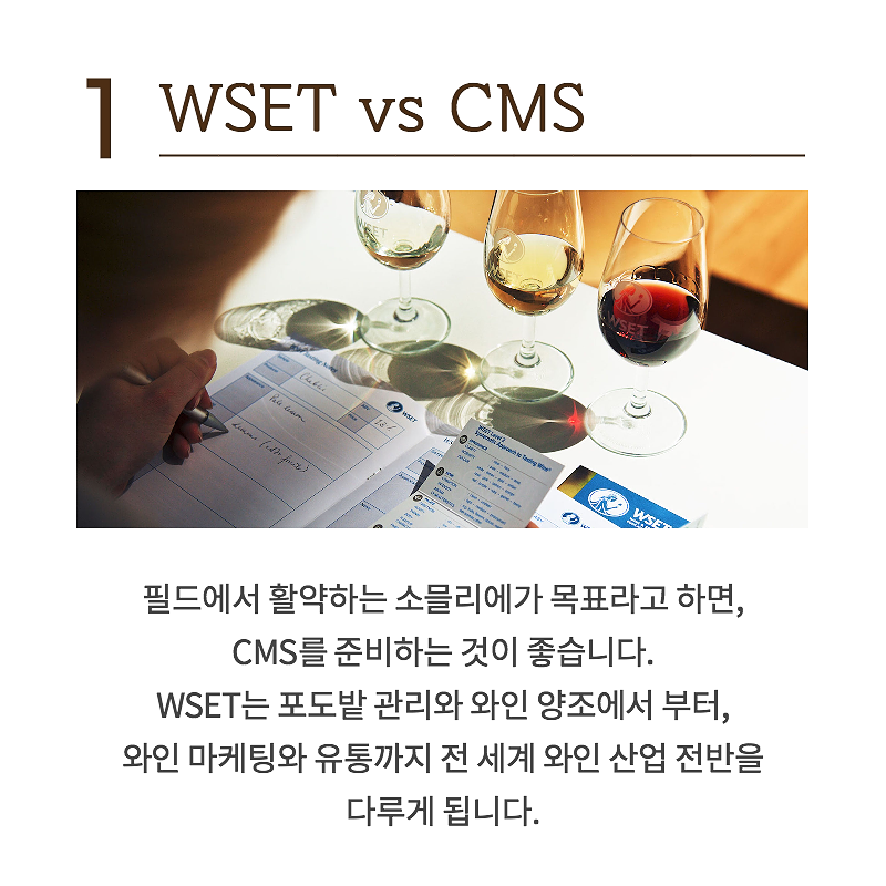 와인배우기 시작, 와인기초 부터 공식 교육기관에서! : 네이버 블로그