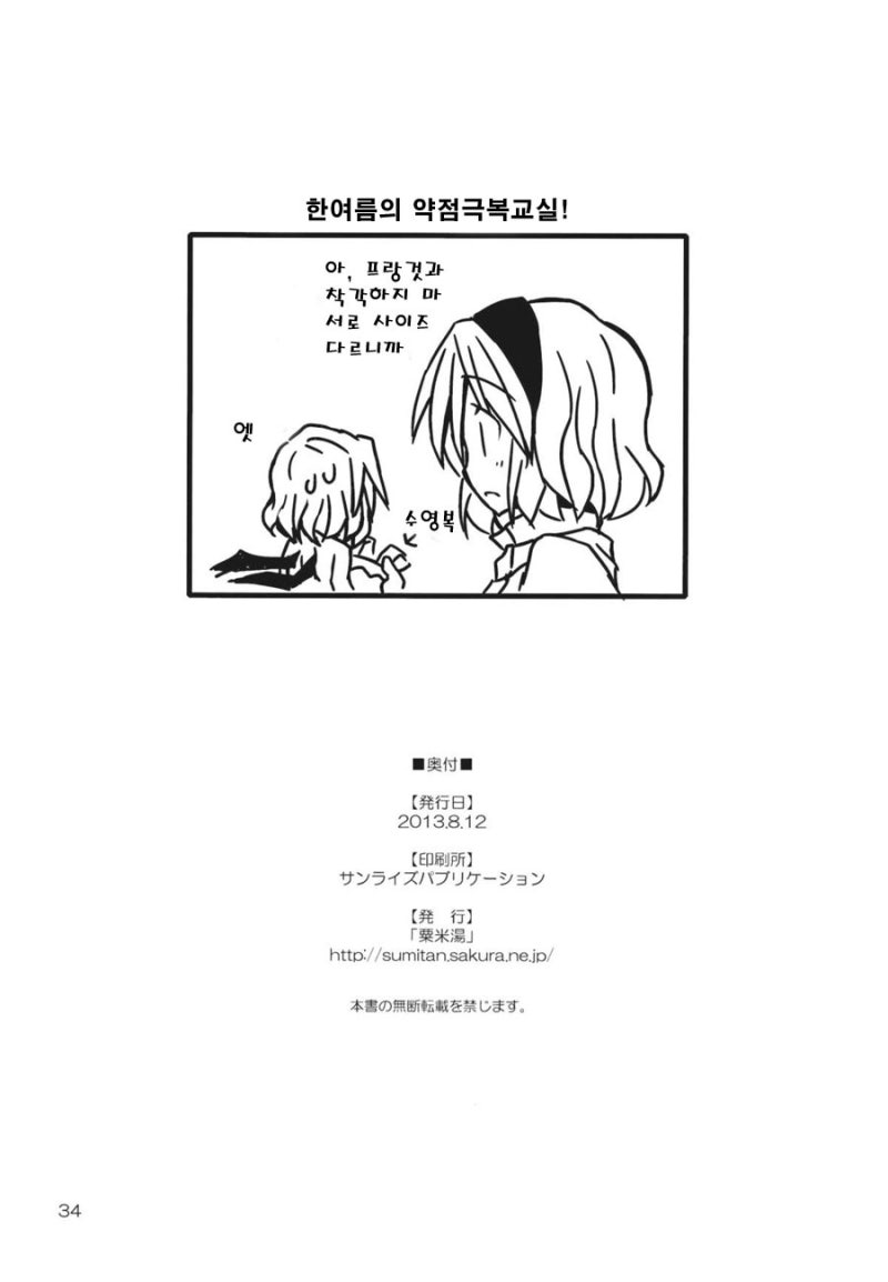 동방프로젝트 東方 Project 동방동인지한여름의 약점극복교실 네이버 블로그