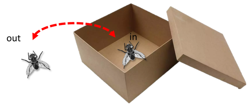 전치사의 변신 #1: in, out, on, off를 형용사로 : 네이버 블로그