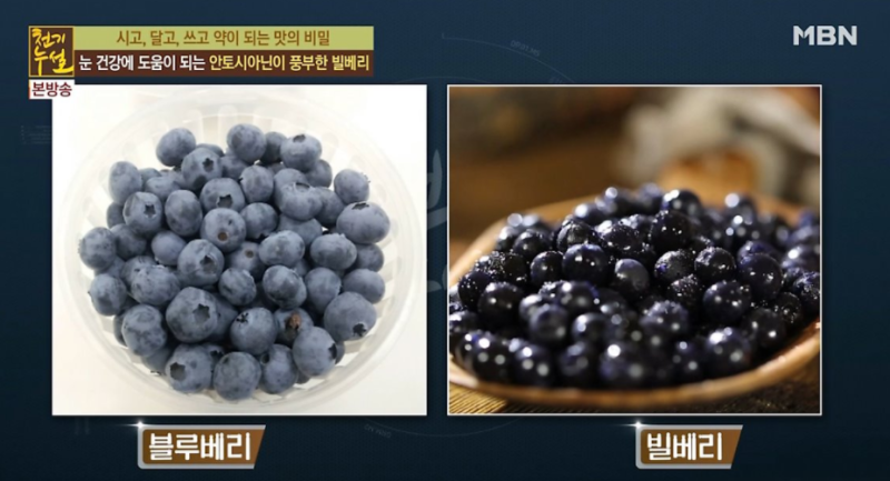 Which is better for the eye? Bilberry vs. Blueberry : 네이버 블로그