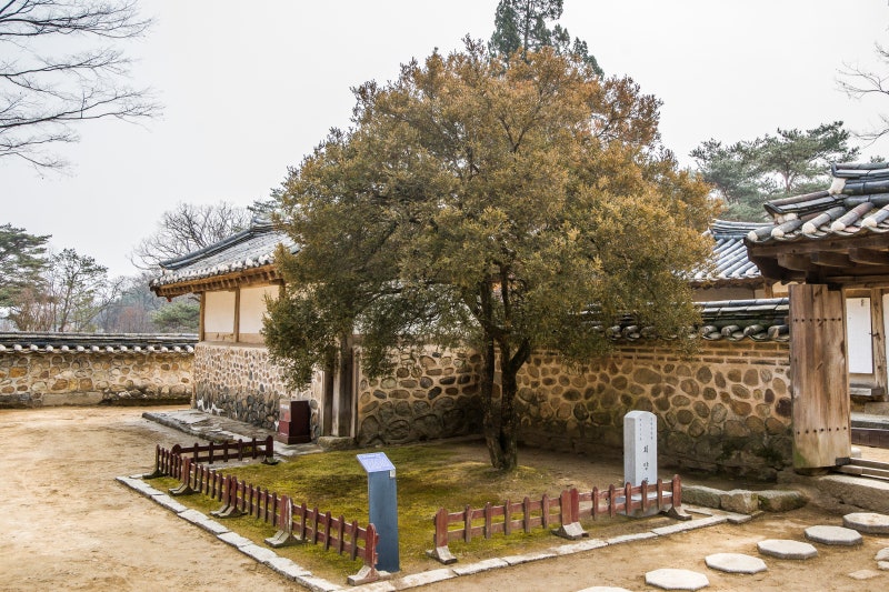 [경기 여주] 효종대왕 영릉(寧陵) : 네이버 블로그