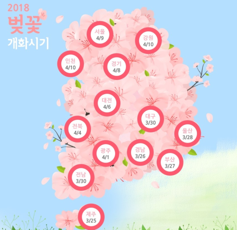 2023년 전국 벚꽃축제 일정 벚꽃여행 총정리 행사장 지도 행사정보 행사기간 2023 벚꽃예정 2023년 벚꽃개화
