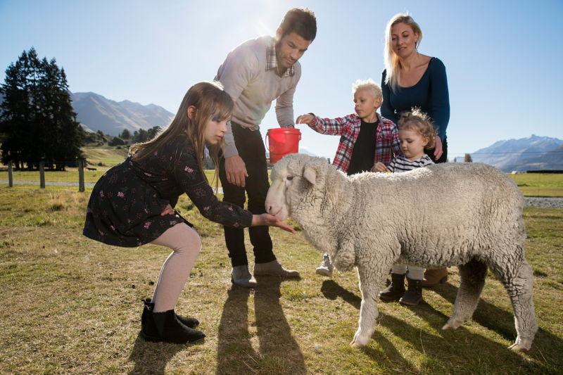 사상 최저로 떨어진 뉴질랜드의 출산율 그러나... : 네이버 블로그