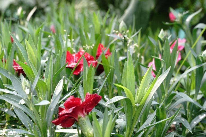 열공성 무증상성 뇌경색(상세불명의 뇌경색증 I63.9)은 뇌질환진단비에 해당한다 : 네이버 블로그