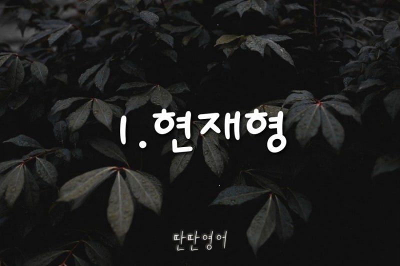 동사의12시제 총정리!!! : 네이버 블로그