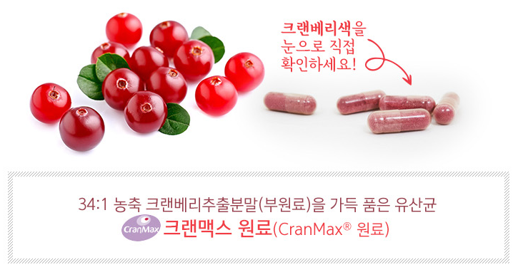 그린스토어 여자를 위한 여성용 유산균 우먼 프로바이오틱스 네이버 블로그