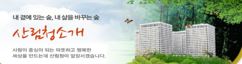 니맘알아취업연구소 자소서 자기소개서 남부지방산림청 무기계약근로자 채용 공고 네이버 블로그