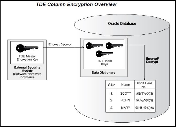 Oracle Database TDE 기능과 HSM : 네이버 블로그