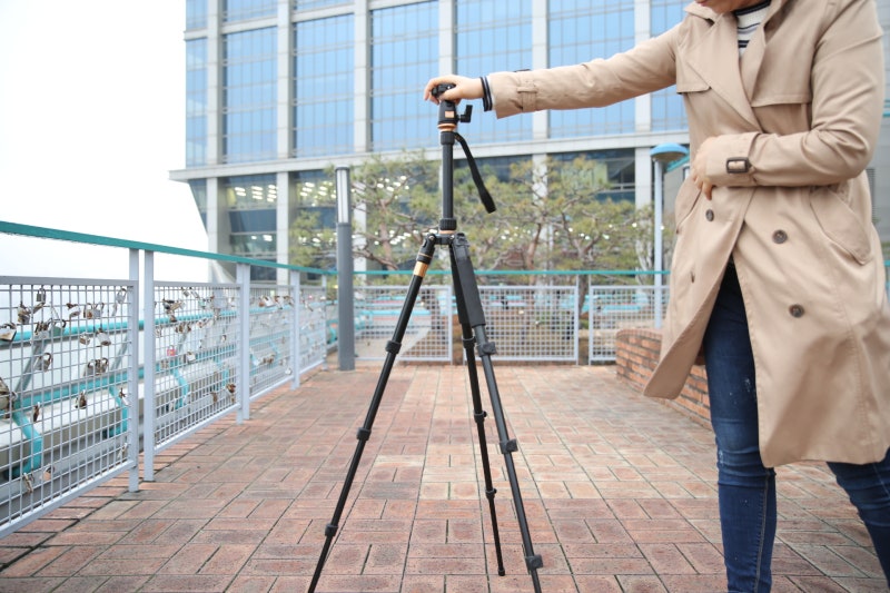 DSLR 삼각대 추천 CQ556(6개월사용후기) : 네이버 블로그