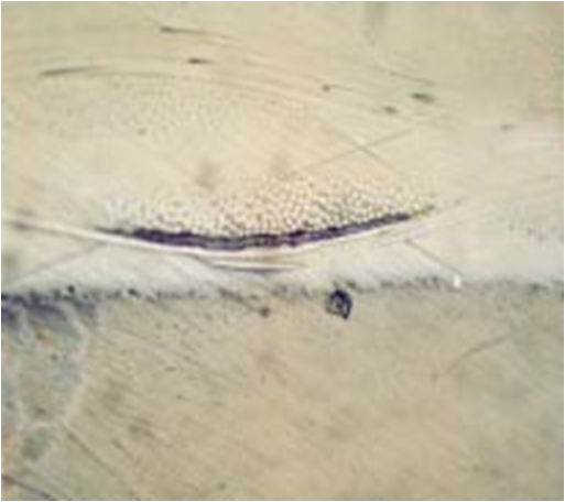 IPC-A-600 표준 소개 _ 2.3.1 베이스 자재 내피층 표면 상태_Measling (미스링) : 네이버 블로그