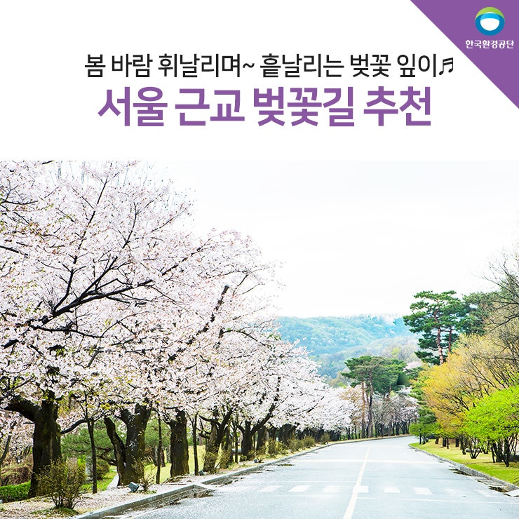 봄바람 휘날리며~ 흩날리는 벚꽃 잎이~♬ 서울 근교 벚꽃길 추천 네이버 블로그