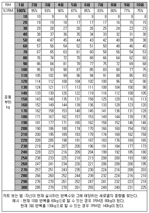 5RM VS 10RM : 네이버 블로그