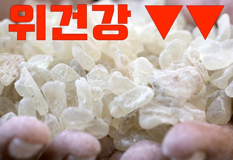 위건강 매스틱효능 매스틱검 함유된 가루 파는곳 메스틱검 네이버 블로그
