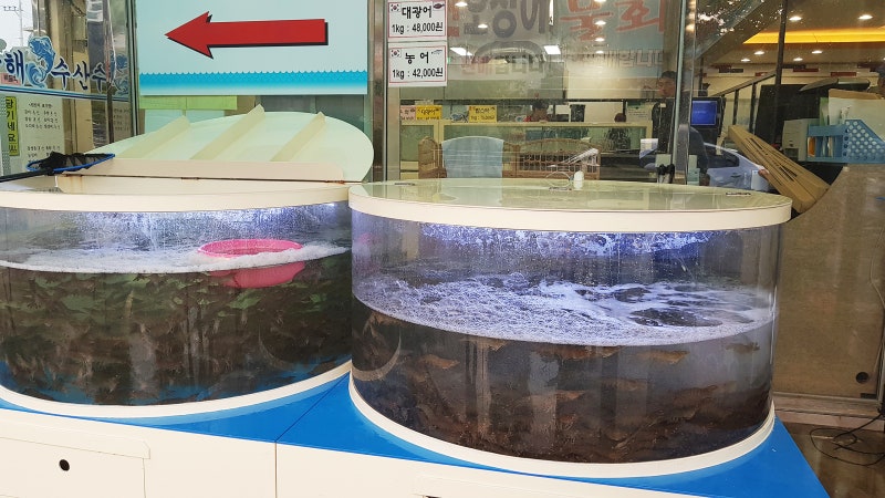 평택 소금대하구이 전어회 24시 팔도맛집 먹은 거 네이버 블로그