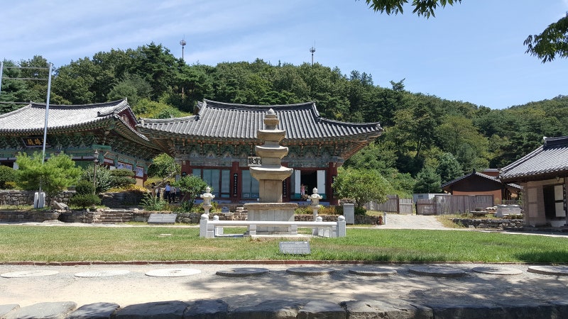 세종시 문화재를 품고있는 고즈넉한 사찰 비암사 네이버 블로그