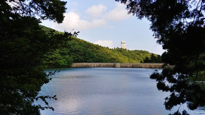 부산 어린이대공원성지곡 수원지 산책 장소로 좋습니다 네이버 블로그