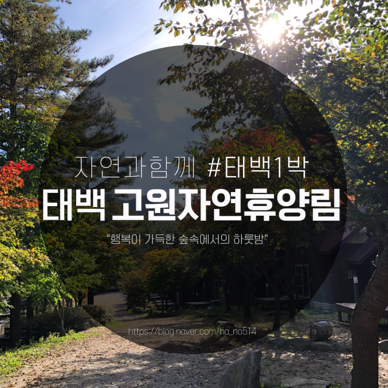가을맞이가족여행태백고원자연휴양림 1박후기 바베큐이용 네이버 블로그