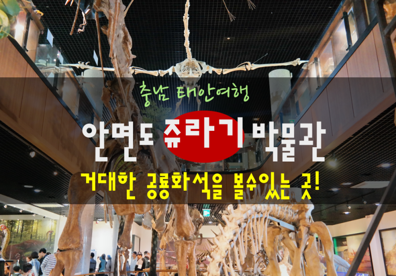 충남태안 안면도 쥬라기박물관 다녀왔어요 거대한 공룡화석들을 볼 수있는 공룡테마파크 네이버 블로그