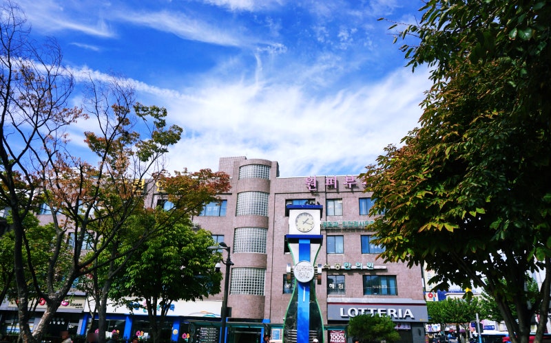 면목동 1인 헤어샵 좋은 제품을 사용하는 가성비 좋은 동네 미용실 쭈야살롱 네이버 블로그