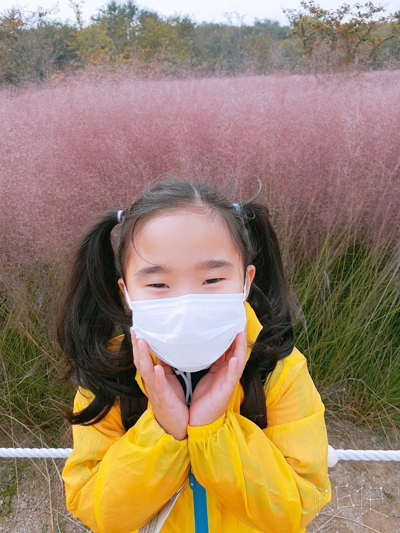 [스펀지창의유치원 물푸레나무반]가을소풍,부모참여수업이야기♥ : 네이버 블로그