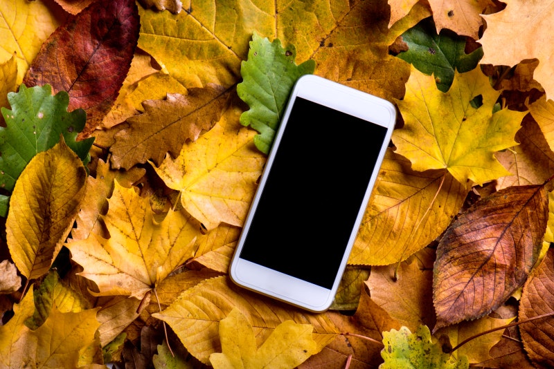 영어왕초보들을 위한 헷갈리는 표현- find vs look for : 네이버 블로그