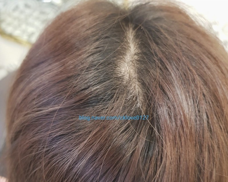 정자역제니스헤어살롱 민서부원장 할로윈미용실 네이버 블로그