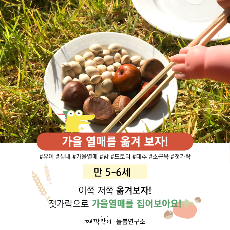 만 5 6세 놀이법 가을 열매를 옮겨 보아요 네이버 블로그