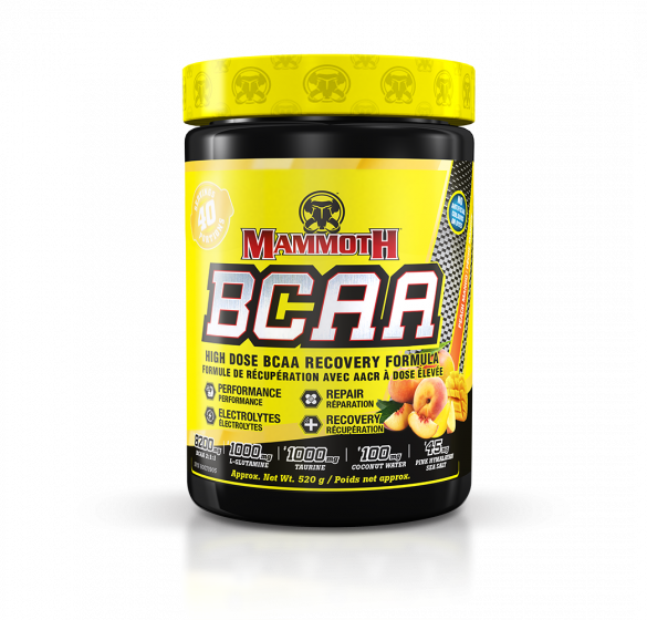 헬스보충제 꼭 많이 필요할까? : 네이버 블로그