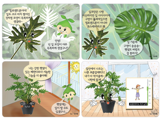 보기 좋은 식물이 몸에도 좋다 우리 집 효자 화분 필로덴드론 셀륨 네이버 블로그