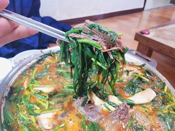 조치원 맛집 흑염소 전문점 봉서골 세종맛집세종시 맛집 조치원맛집 흑염소 전문점흑염소 추천 흑염소 맛집추천