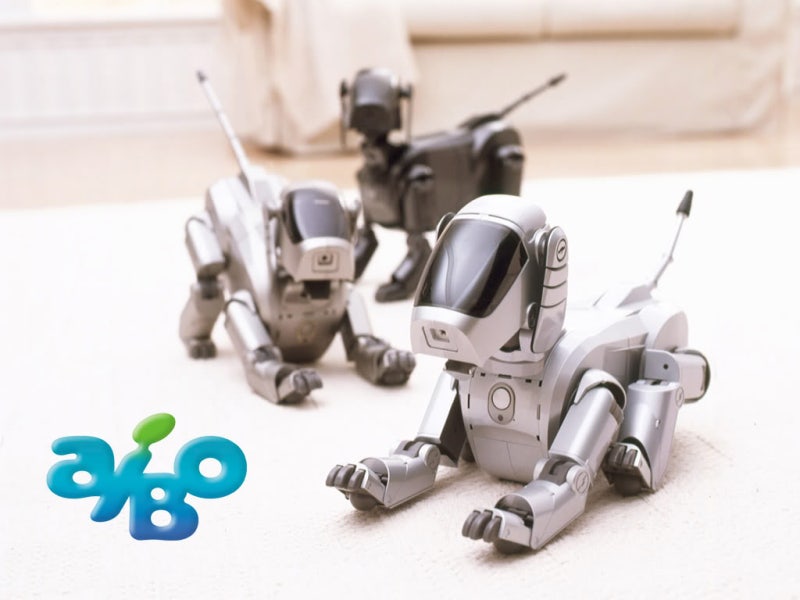 SONY 엔터테인먼트 로봇 aibo 구입기 : 네이버 블로그