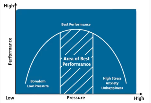 inverted-U Model, Ballancing Pressure and Performance, 여러 유형의 사람들의 몰입과 ...