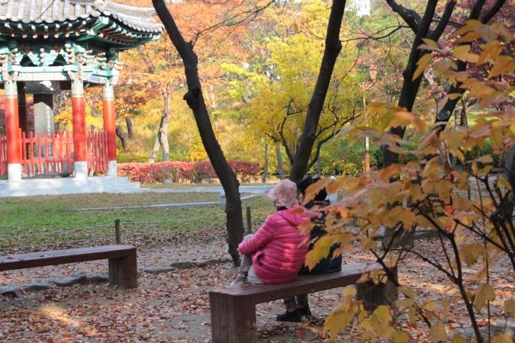 대구 단풍사진 찍기 좋은 곳 달서구 단풍명소 추천 월곡역사공원과 월광수변공원 가을빛으로 채색된 공원의 풍경 네이버 블로그