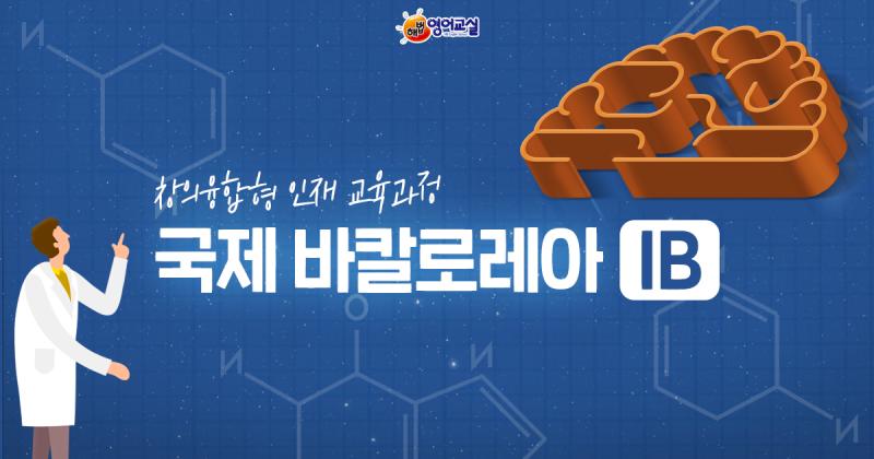 창의융합형 인재 교육과정 국제 바칼로레아ib는 무엇인가요 네이버 블로그