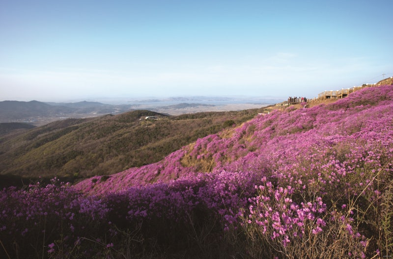 [고려중기(무신정권)-23대고종] 최이의 죽음(1249년)과 최항의 집권 : 네이버 블로그