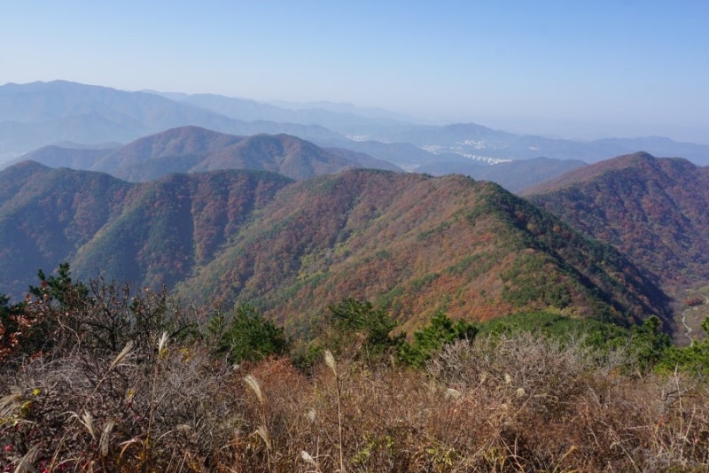 창원 천주산 진달래뿐만 아니라 누리길도 좋은 천주암 코스산행 네이버 블로그