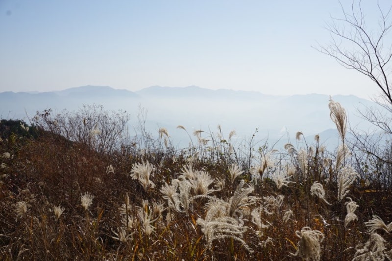 창원 천주산 진달래뿐만 아니라 누리길도 좋은 천주암 코스산행 네이버 블로그