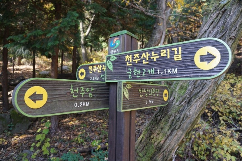 창원 천주산 진달래뿐만 아니라 누리길도 좋은 천주암 코스산행 네이버 블로그