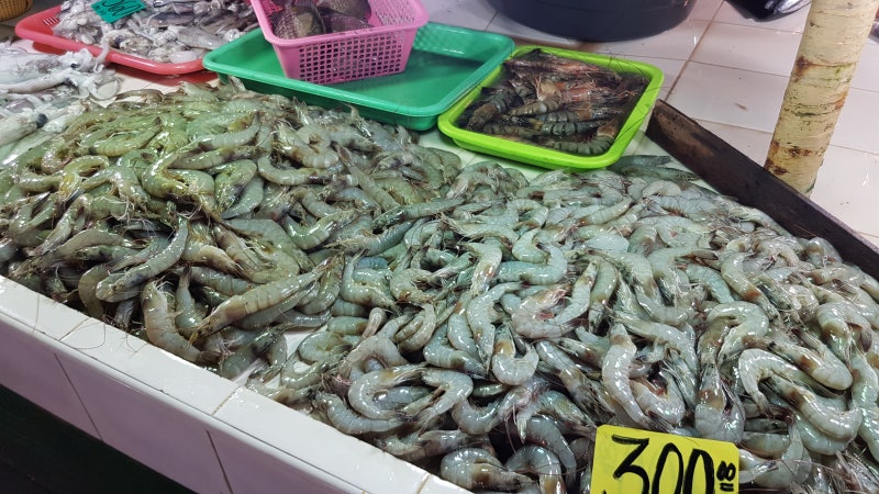 보홀 재래시장(다오마켓 /Dao Market) : 네이버 블로그