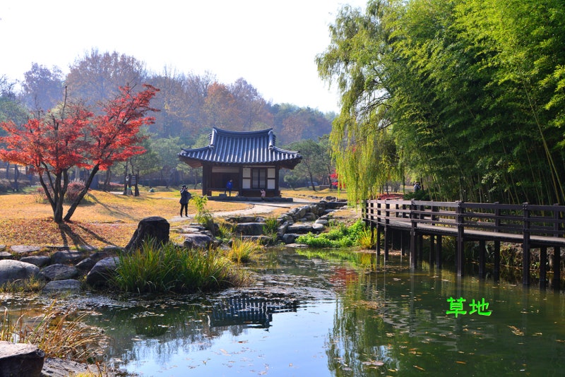 담양 가볼만한곳 대나무 숲 죽녹원 후문의 시가문화촌 네이버 블로그