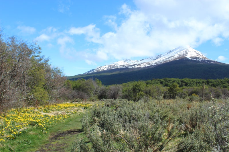 세계 자동차 여행 282(티에라 델 푸에고,아르헨티나6) : 네이버 블로그