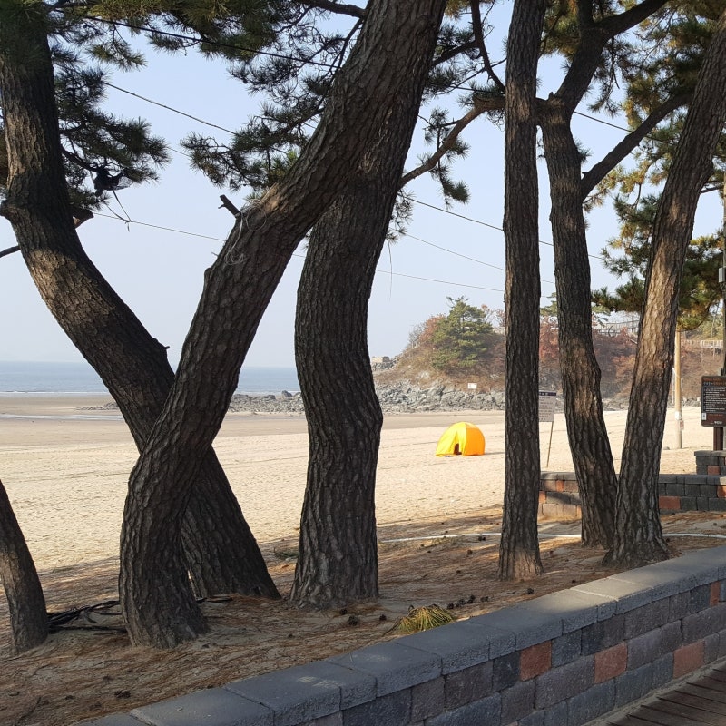 차박캠핑 함양 오도재 고창 구시포해수욕장 노을 변산반도 동호해수욕장 남원 고소바위 캠핑장 거창 가조온천 네이버 블로그