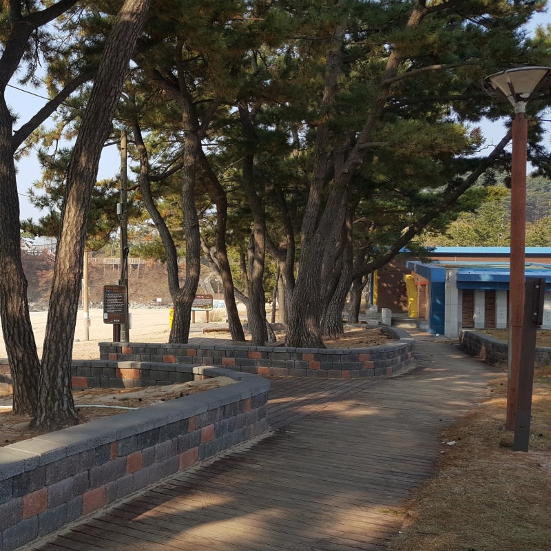 차박캠핑 함양 오도재 고창 구시포해수욕장 노을 변산반도 동호해수욕장 남원 고소바위 캠핑장 거창 가조온천 네이버 블로그