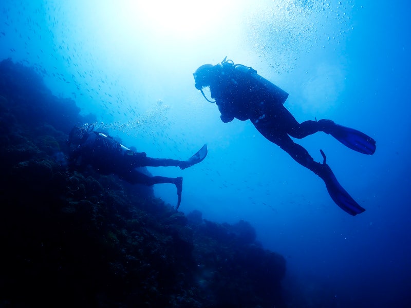 세부스쿠버다이빙! 막탄 콘티키에서 하고 왔어요~ : 네이버 블로그