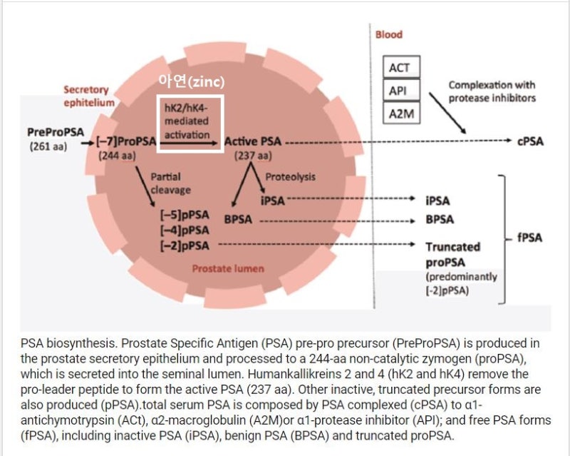 전립선건강지수(PHI)의 한계 : 네이버 블로그