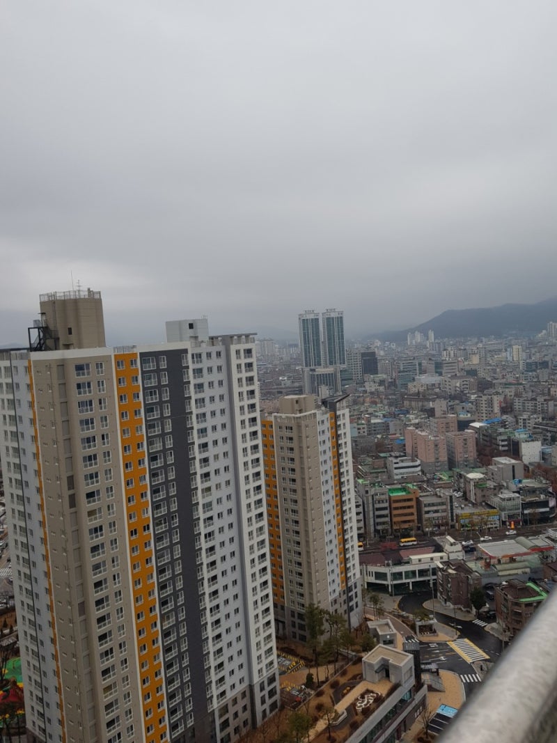 다산홈스토리의 의정부 롯데캐슬골드파크 입주청소이야기 네이버 블로그